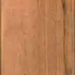 Madeira Freijó: preço, detalhes e características