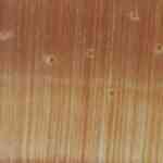 Madeira Pinus: preço, detalhes e características